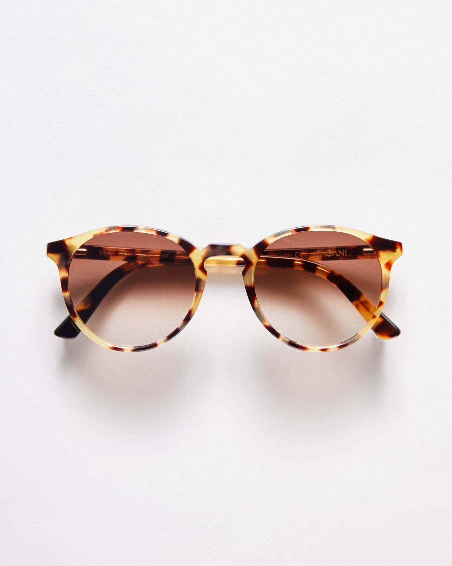 Dandy 228 – Pagani Eyewear